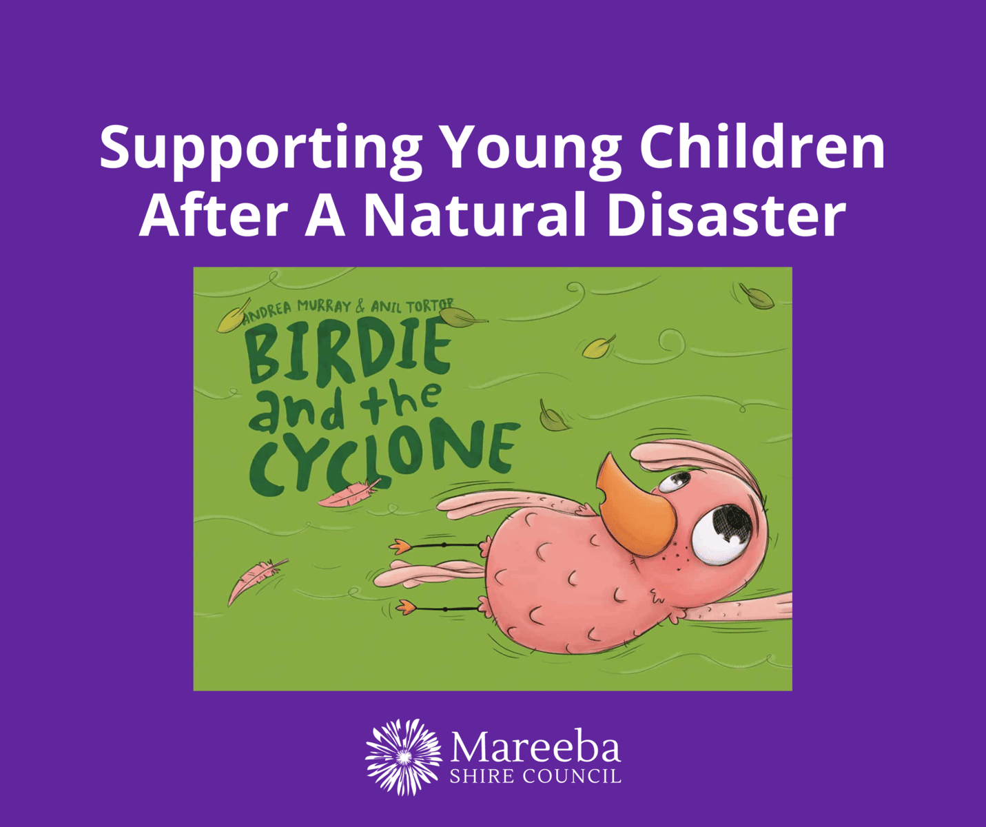 Disaster Support for Mareeba Shire - Mareeba Shire Council