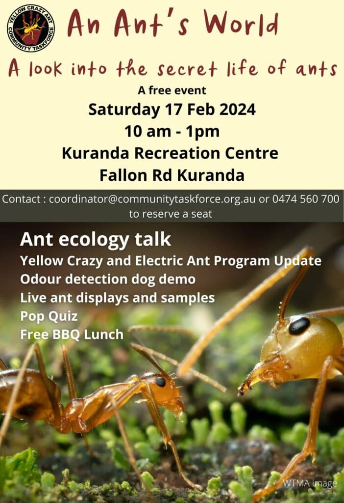 An Ants World - a look into the secret life of ants - Mareeba Shire Council