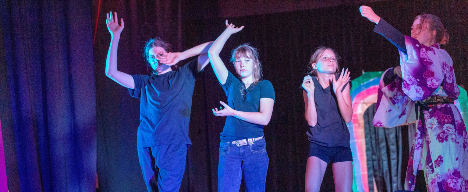 Regional Arts Development Fund (RADF) - Mareeba Shire Council